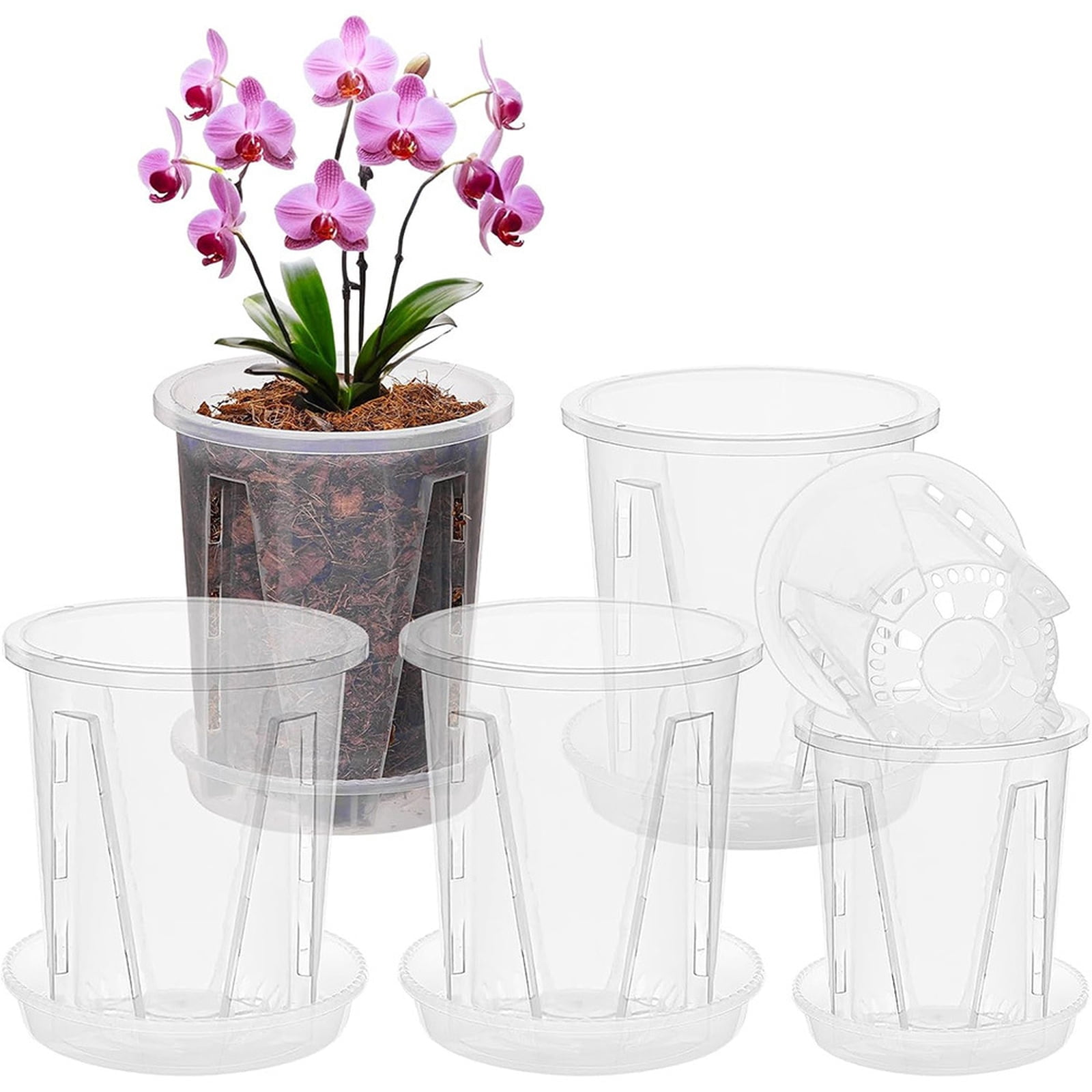 1 Pack Clear Orchid Pots with Drainage Holes for Repotting – Ideal for ...