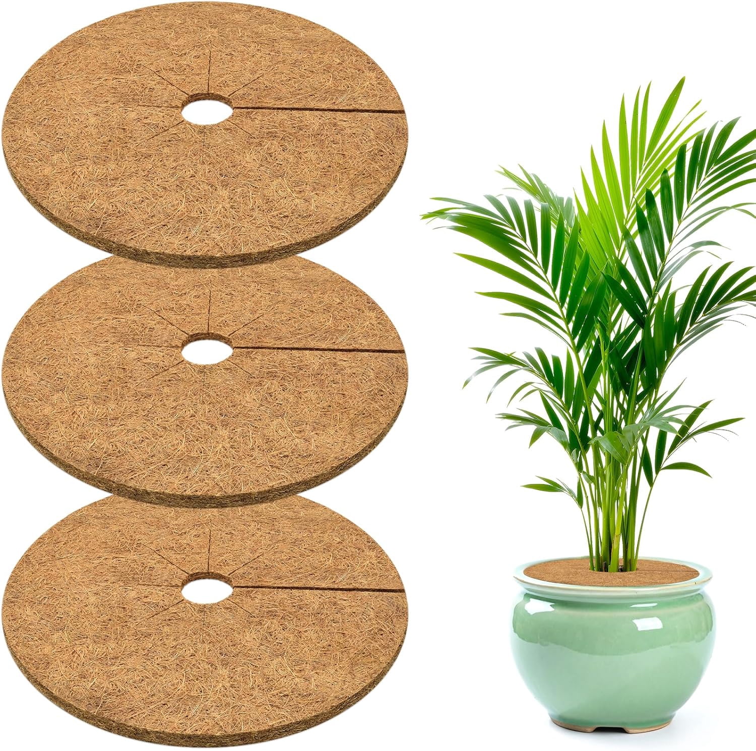 3 Pack Coconut Fiber Mulch Ring, 11.8 Inch Coco Coir Tree Ring Mulch ...