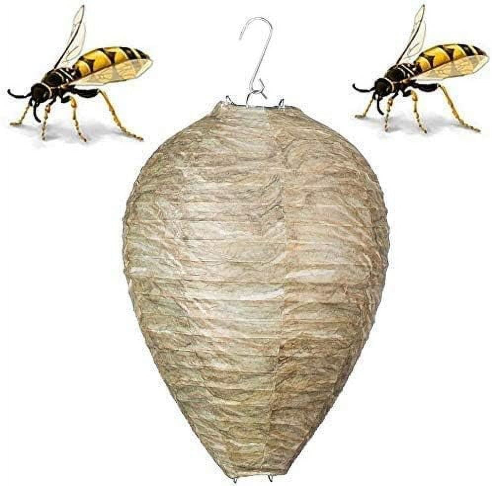 3-Pack Decoys Safely Deter Wasps, Hornets & Yellow Jackets - Non-Toxic ...