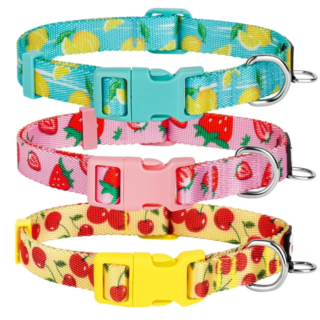 Azuza 3 Pack Cute, Colorful, Buckle Dog Collars - Soft, Comfortable ...