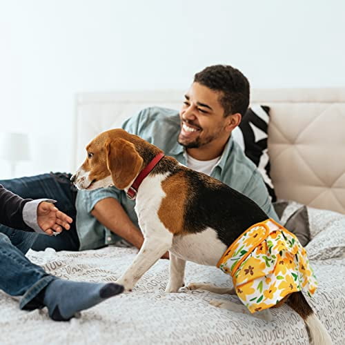 3 Pack Female Dog Diapers Reusable, Washable Girl Dog Diapers Highly ...