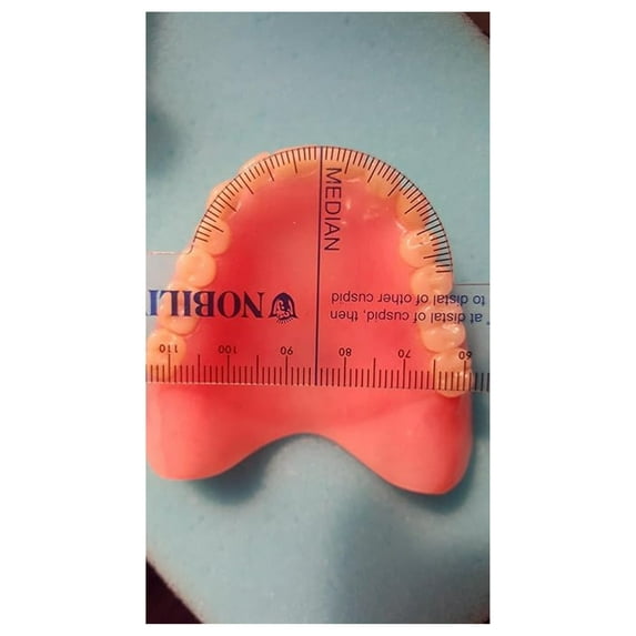 3 Pack Flexible Ruler Dentsply Denture Trubyte Millimeter Dental Lab ...