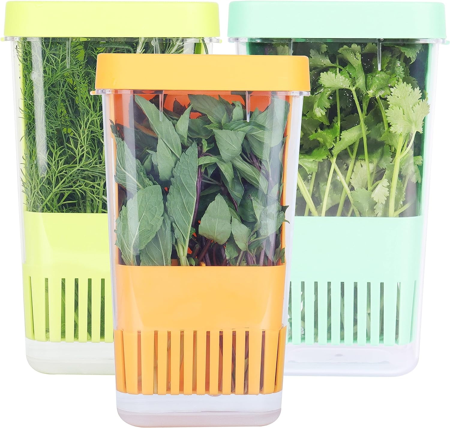 3 Pack Fresh Herb Keeper for Refrigerator - Clear BPA-Free Herb Saver ...