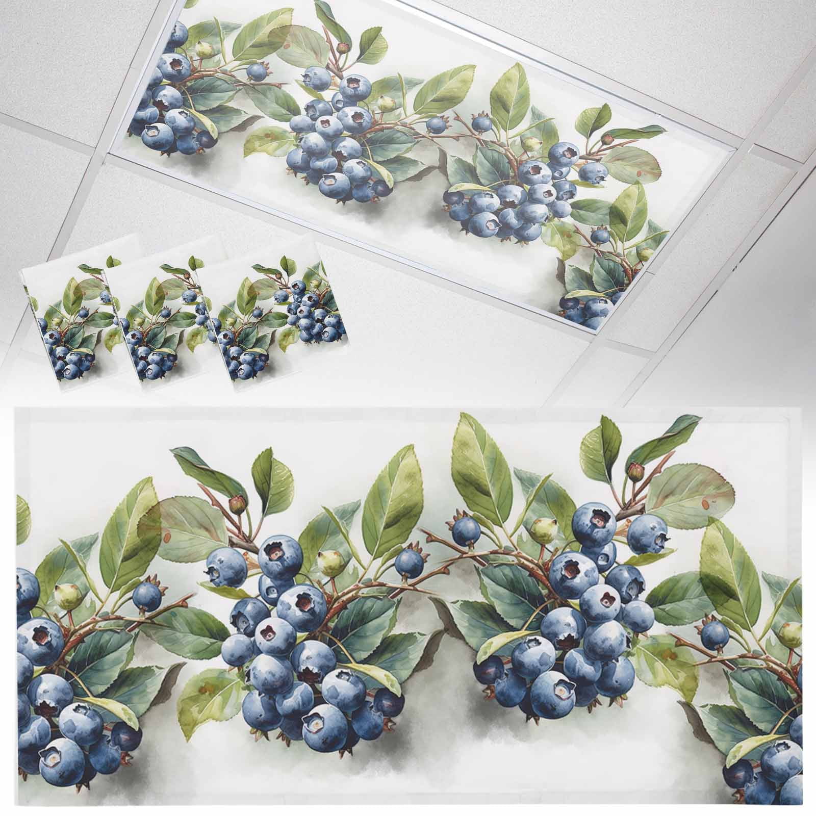 3 Pack Fruit Blueberry Fluorescent Light Covers for Ceiling Lights ...