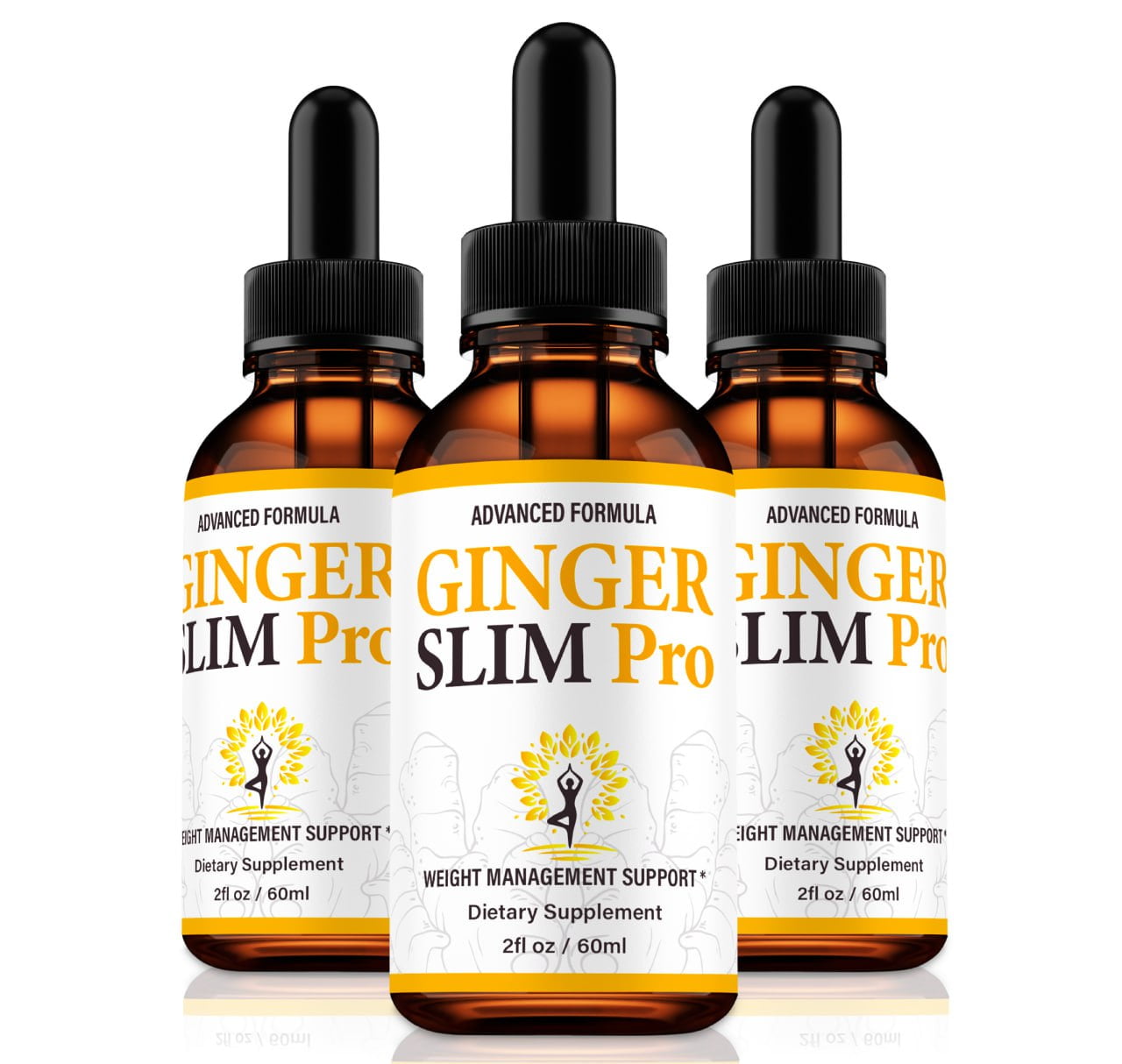 (3 Pack) Ginger Slim Drops - GingerSlim to Support Active Lifestyle and ...