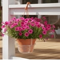 3 Pack Hanging Plant Water Catcher Tray, 8 Inch Clear Drip Pan Saucers ...