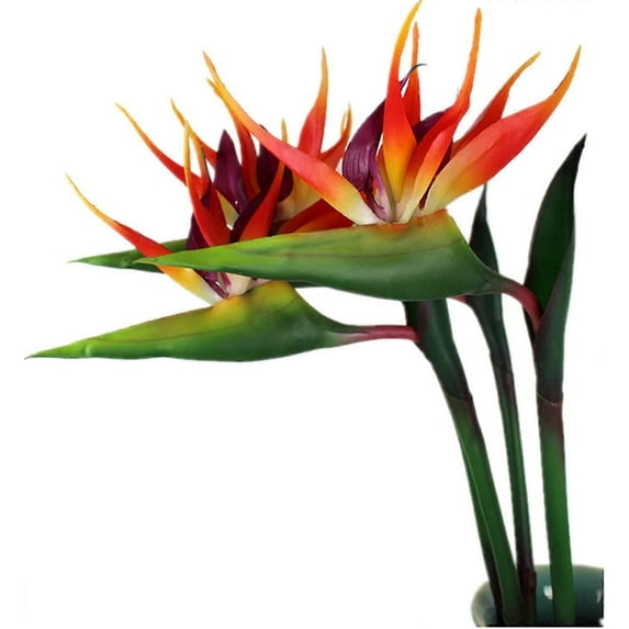 3 Pack Large Birds Of Paradise 32 Inches Permanent Flowers Uv Resistant ...