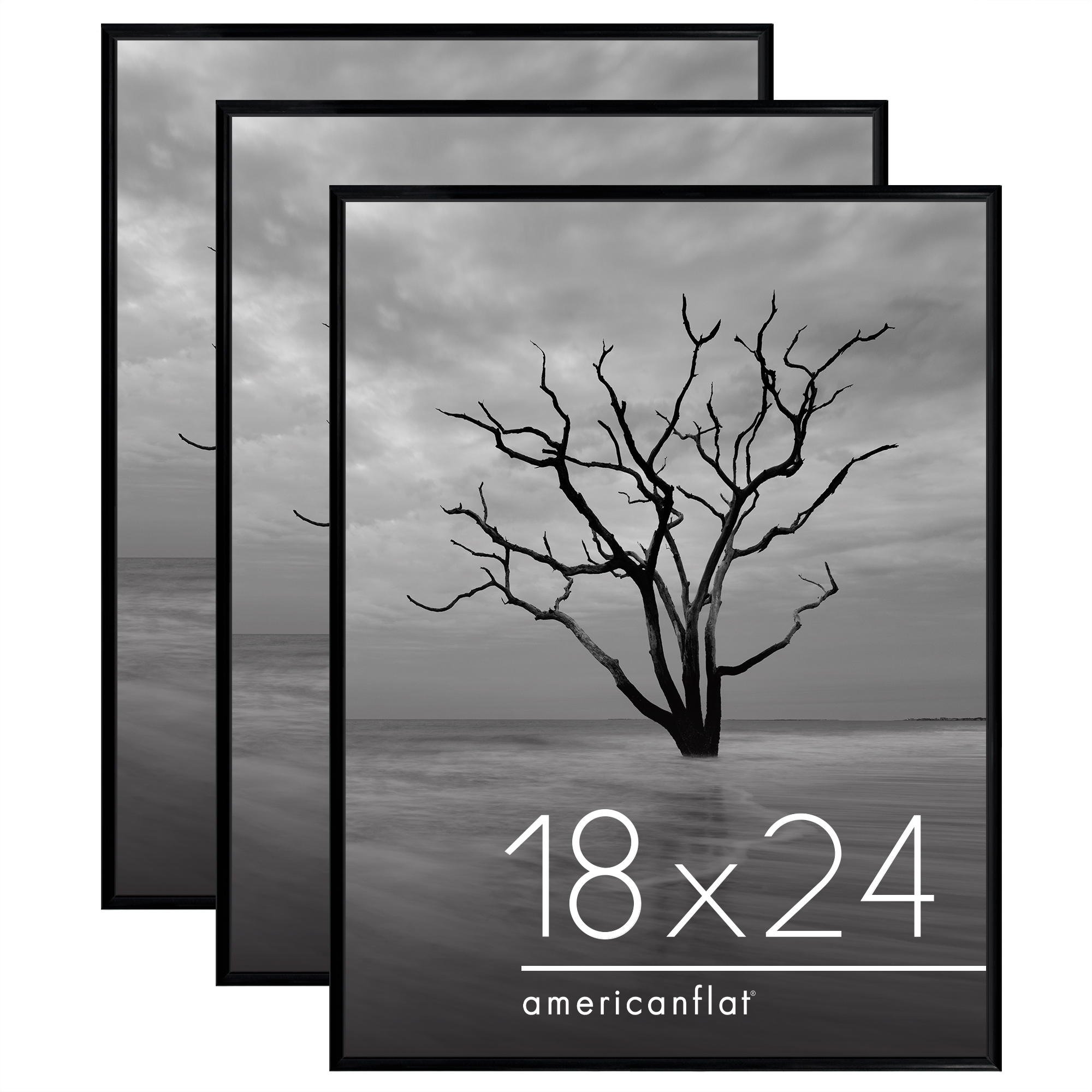 Mainstays 18x24 Basic Poster & Picture Frame, Black, Set of 6 - Walmart.com