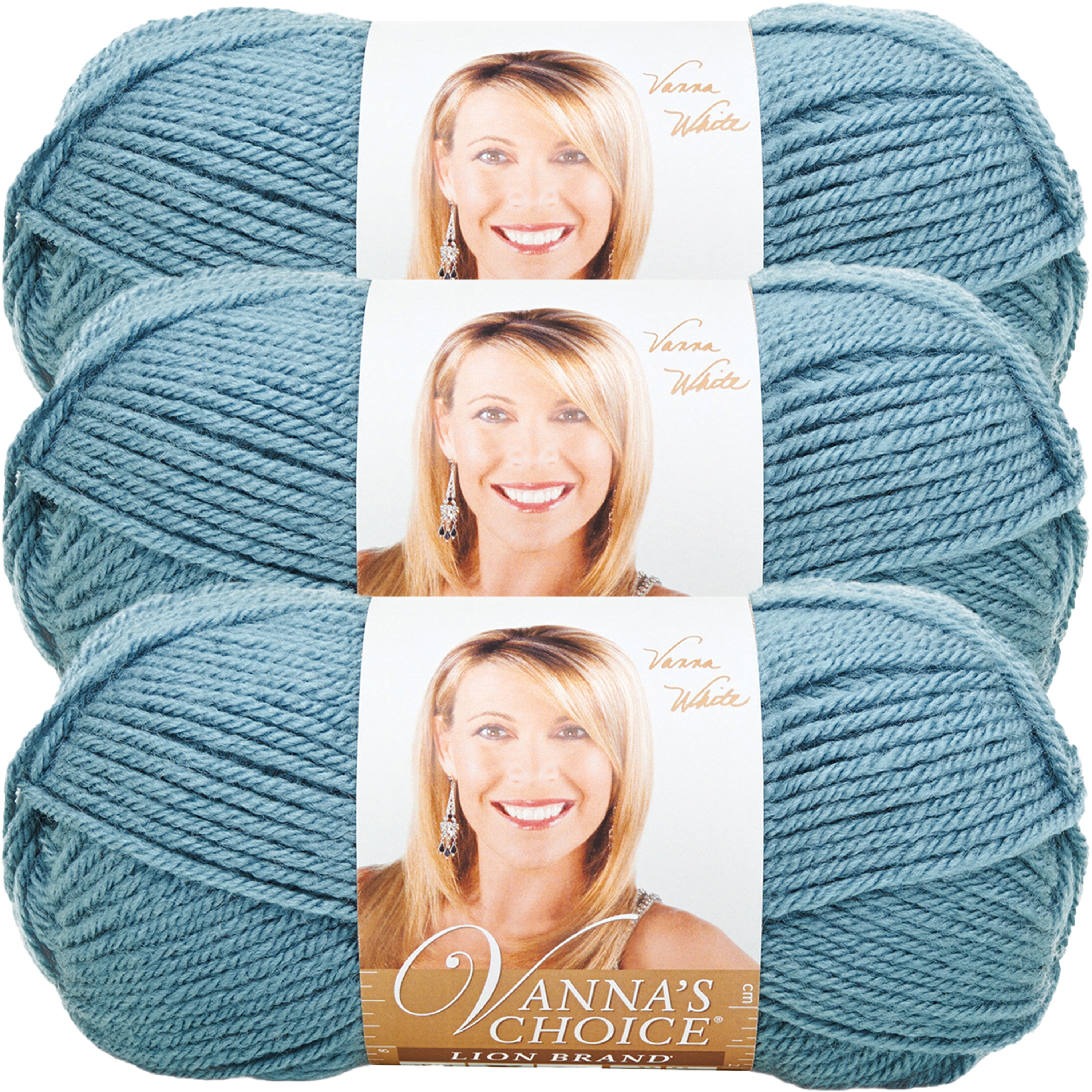 (3 Pack) Lion Brand Vanna's Choice Yarn - Dusty Blue - Walmart.com