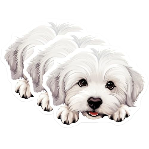 (3 Pack) Maltese Dog Decals - Puppy Dog Stickers - Laptop Decals - 3 ...
