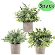 Flock Plant