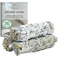 3 Pack Mixed White Sage and Blue Sage Smudge Sticks | Grown in California Smudge Bundles with ...