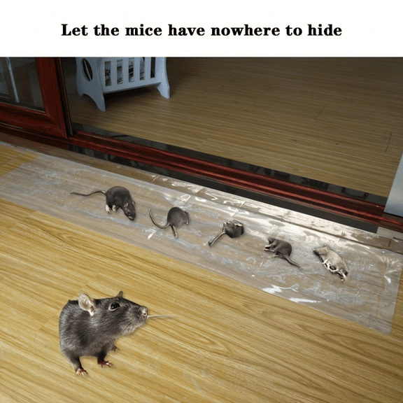 Best Sellers In Rat Glue Traps Large Heavy Duty