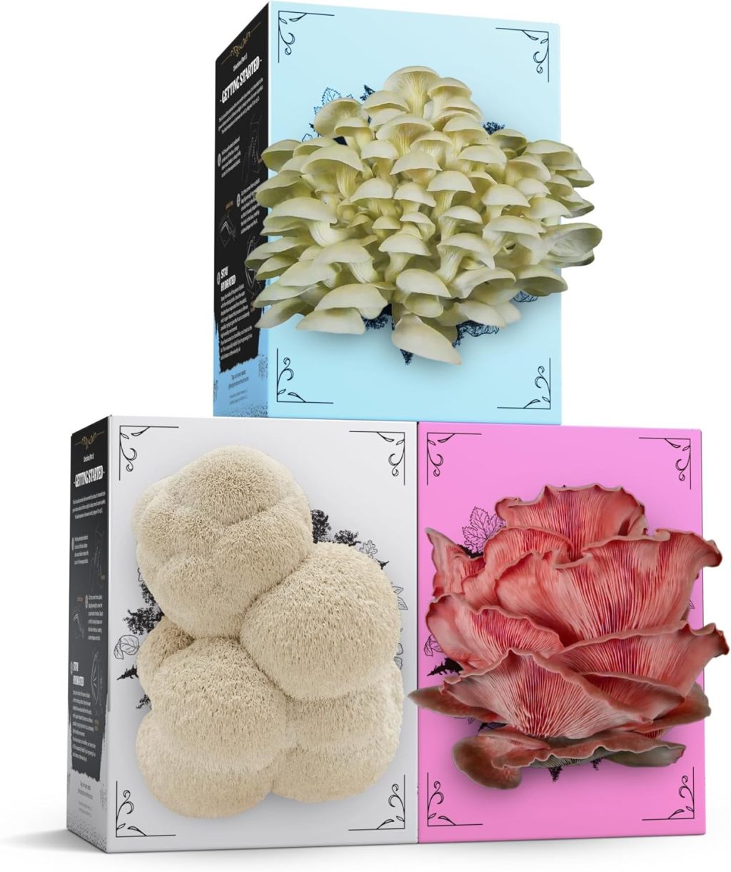 3 Pack Mushroom Grow Kit (4lbs) | USDA Certified Organic | Grow Your ...