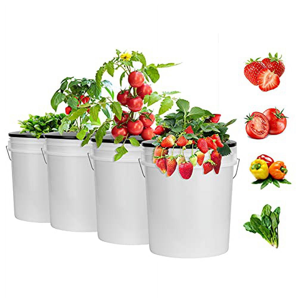 3 Pack Net Pots 6 Inch for 5 and 3.5 Gallon Bucket Net Pot Lids, Wide ...