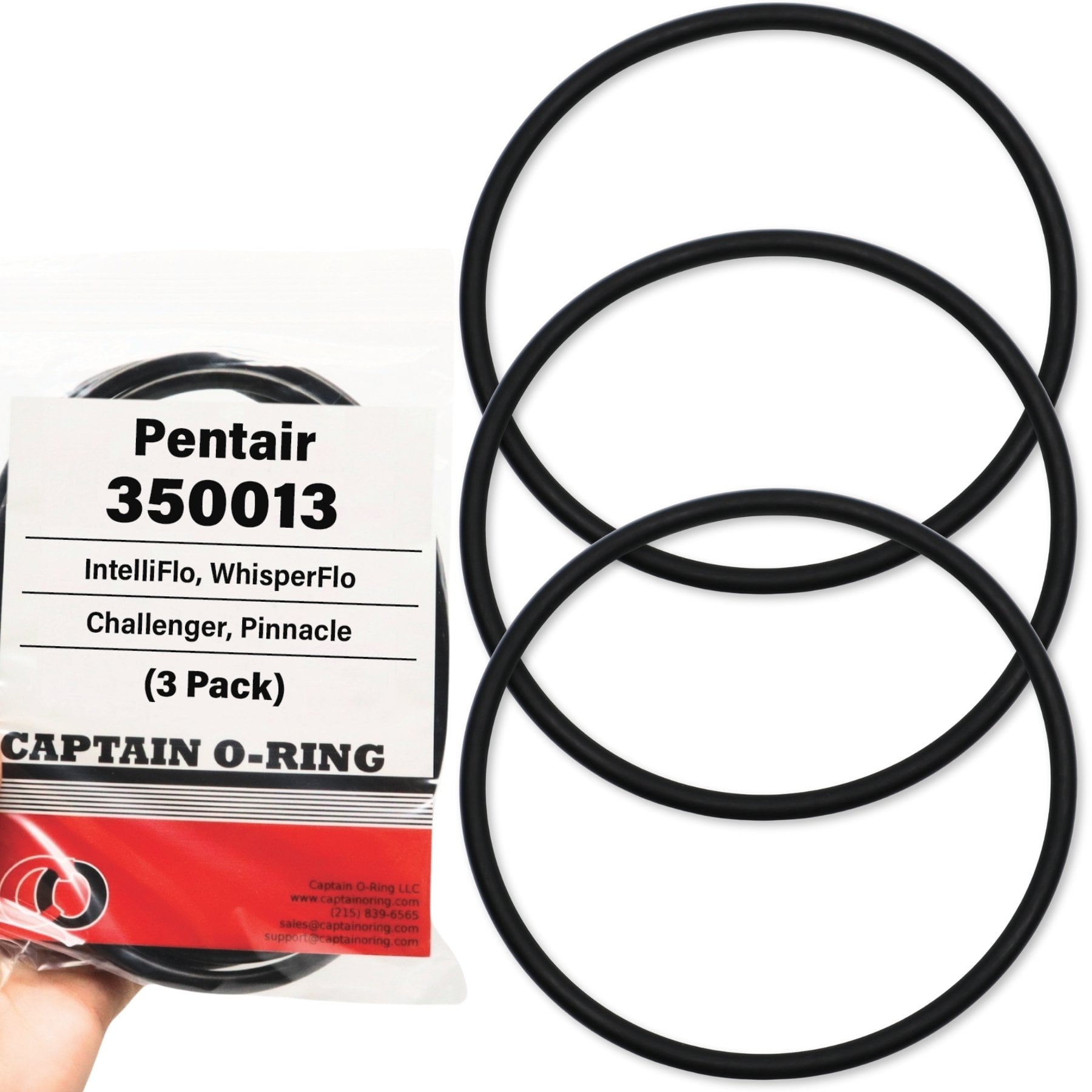 Captain O-Ring - 350013 Lid O-Ring - Compatible with Pentair IntelliFlo ...