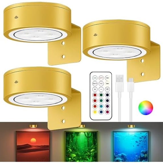 3-Pack Picture Lights for Wall, 13 RGB Color Changing Led Art Display ...