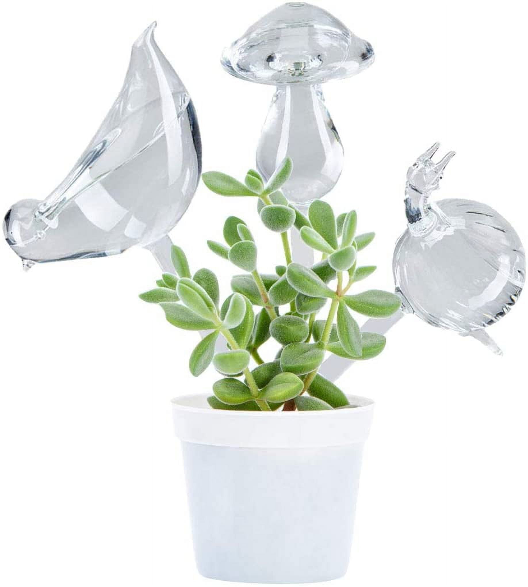 3 Pack Plant Waterer Self Watering Globes,Bird Shape Hand Blown ...