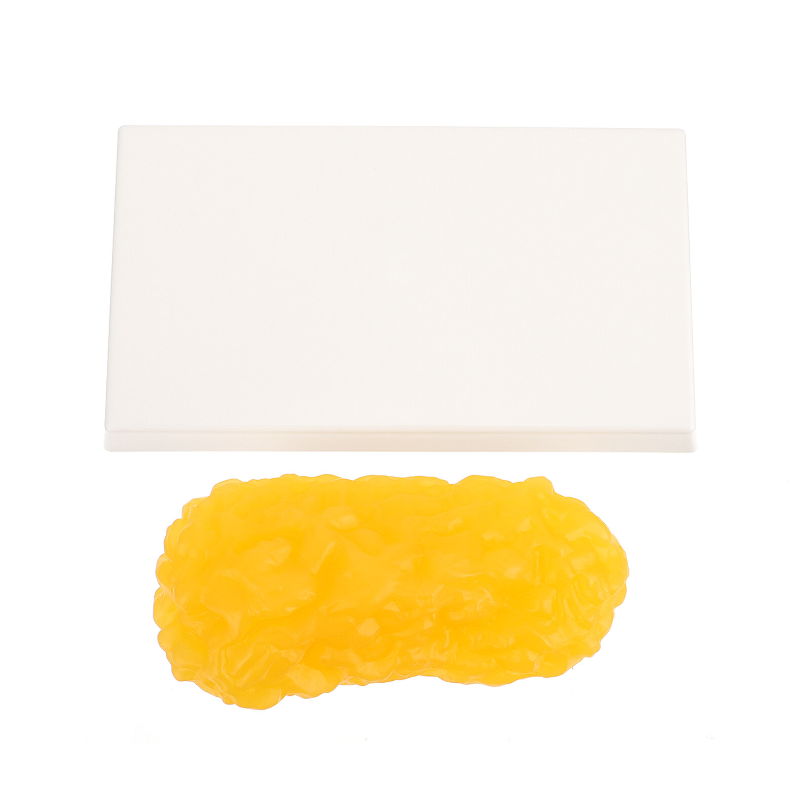 3 Pack Plastic Fat Model Anatomical Smart Scale Human Body Anatomy ...