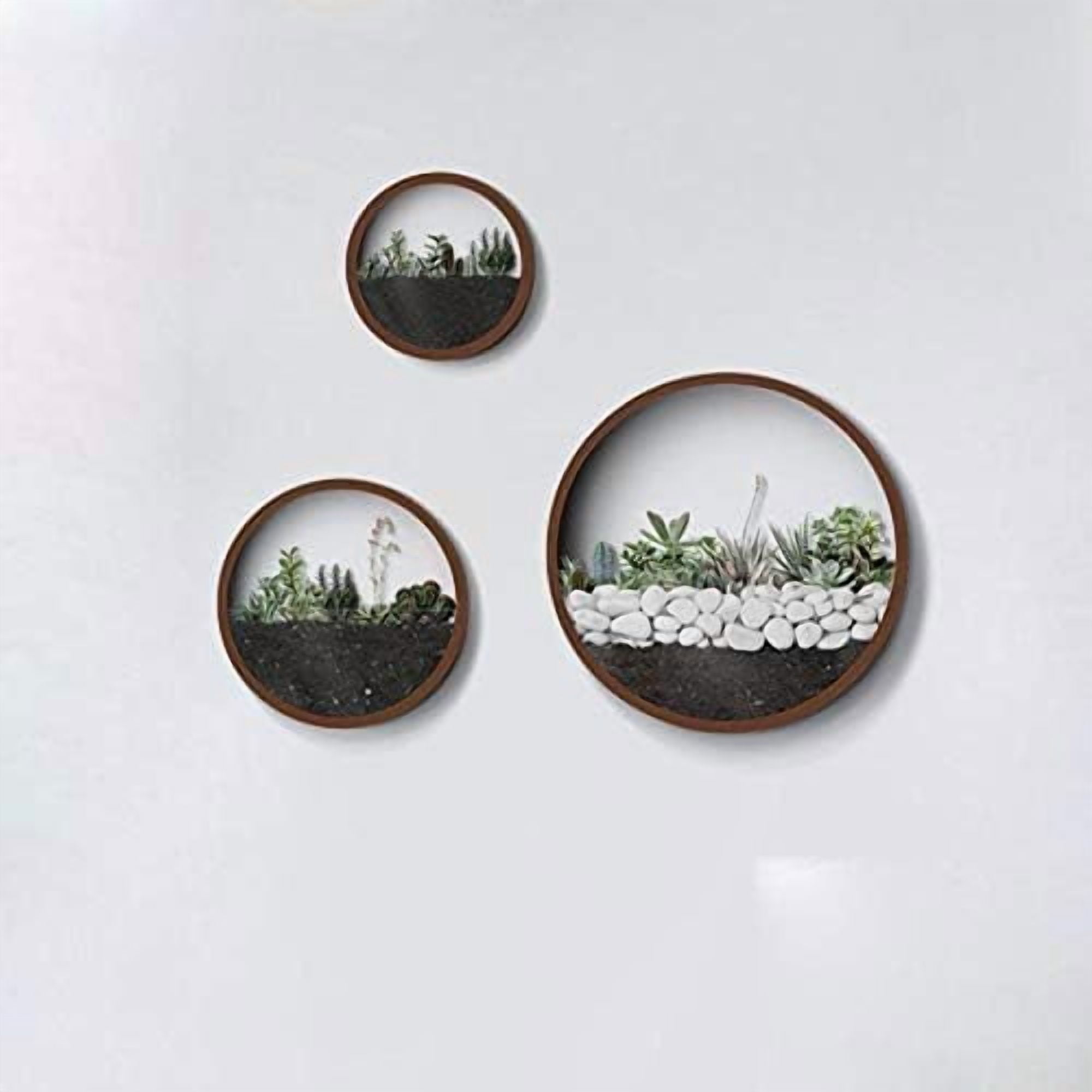 3 Pack Set Wall Planters,Modern Round Glass Wall Planter Succulent ...