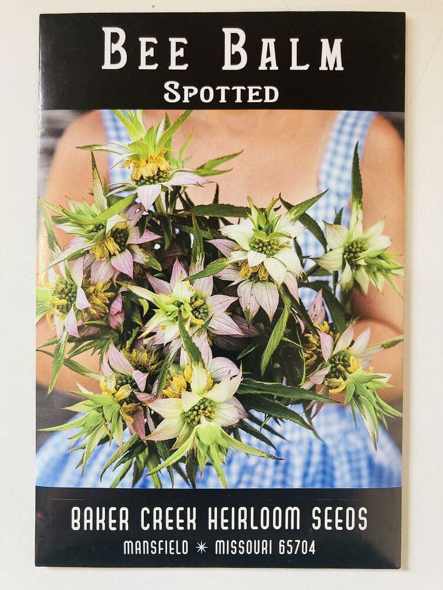 (3-Pack) Spotted Bee Balm ~ Heirloom NON-GMO ~ 100+ Seeds Total ~ High Quality! - Walmart.com