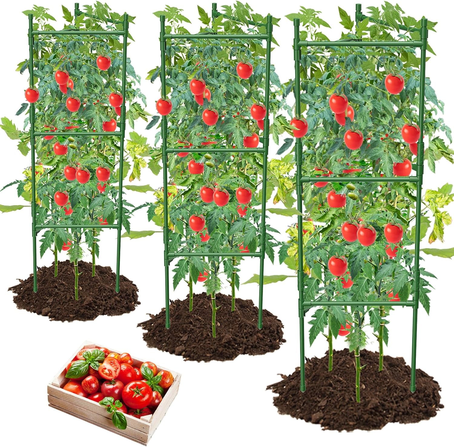 3 Pack Tomato Cage,Tomato Cage for Raised Garden Bed, 48'' Tall Tomato ...