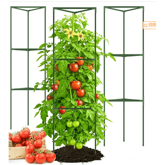 3 Pack Tomato Cage,Tomato Cage for Raised Garden Bed, 48'' Tall Tomato ...