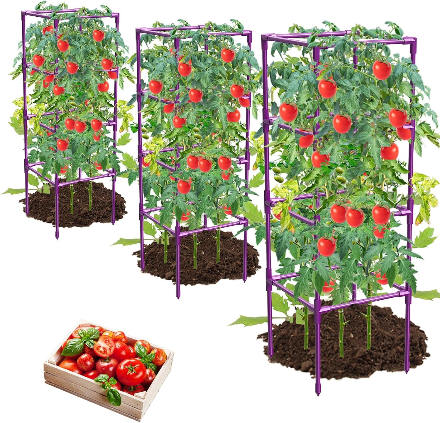3 Pack Tomato Cages, Square Tomato Plant Stakes Support Cages Trellis ...