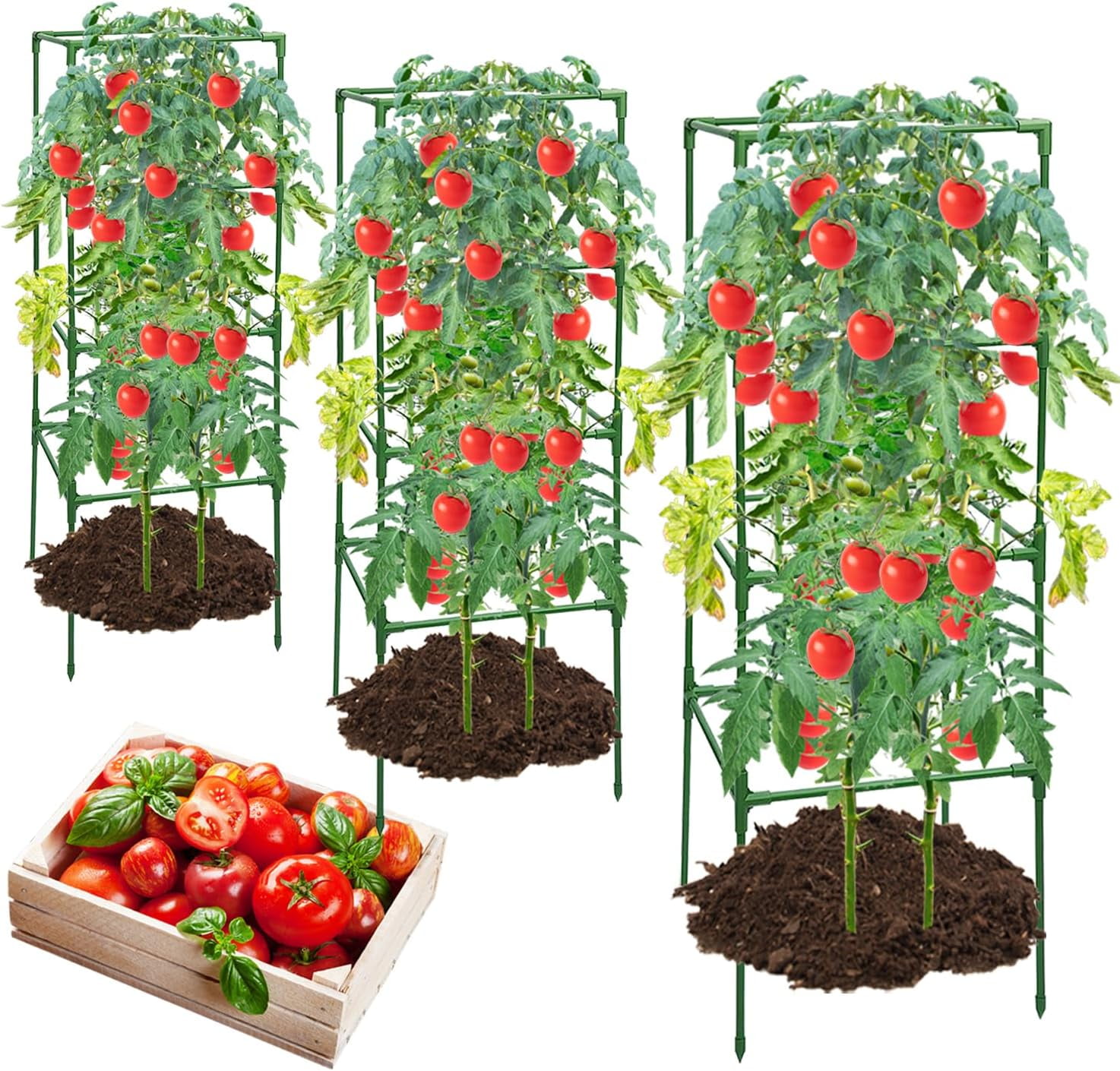 3 Pack Tomato Cages,Square Tomato Plant Stakes Support Cages Trellis ...