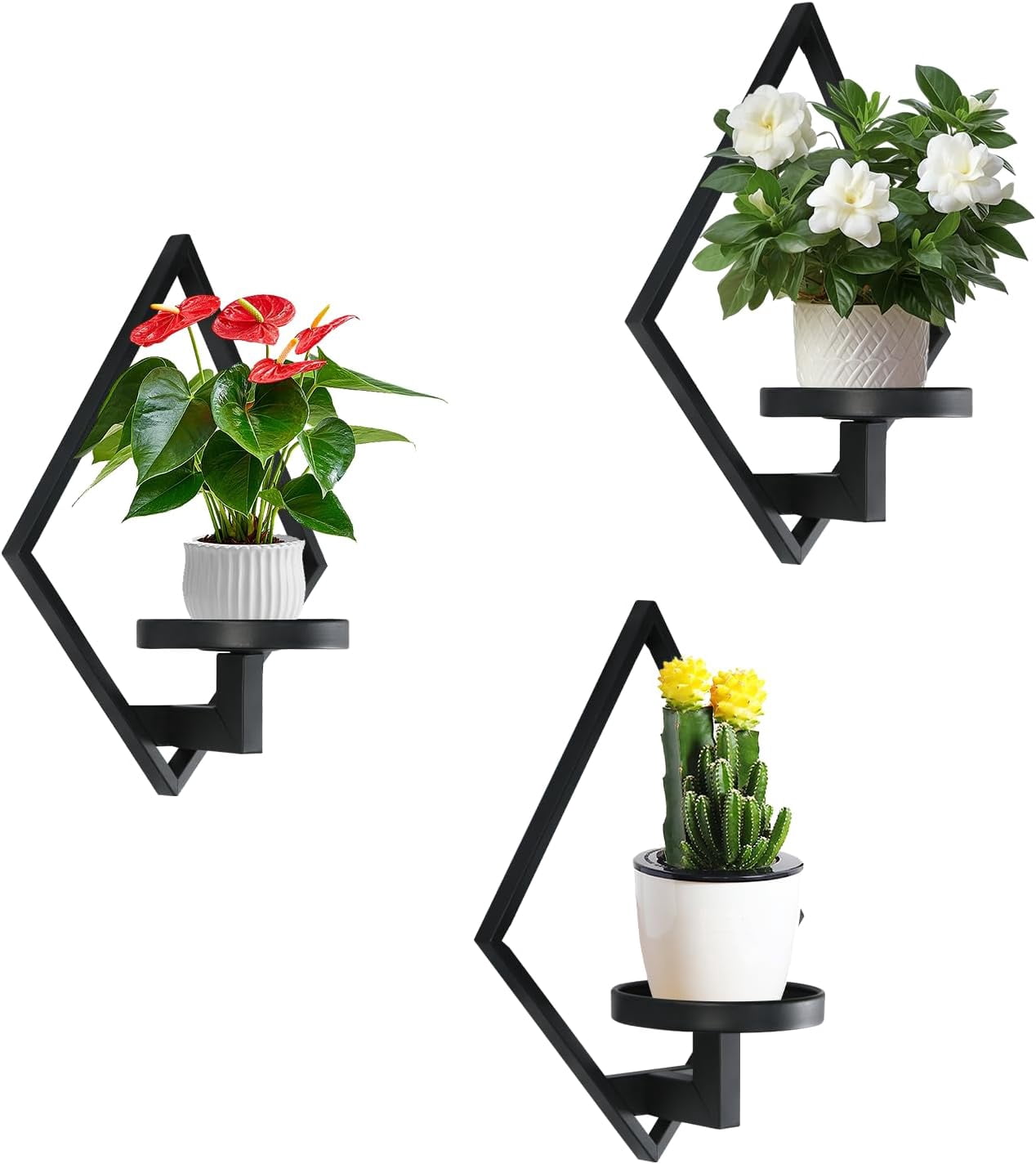 3 Pack Wall Planters for Indoor Plants Plant Holders Plant Stand Indoor ...