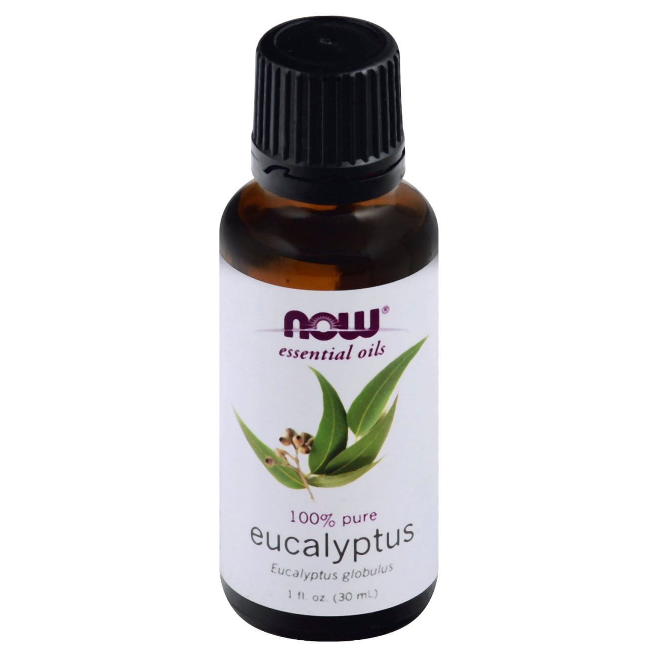 3 Pack of NOW Essential Oils 100% Pure Eucalyptus Oil - 1 oz (Packaging ...