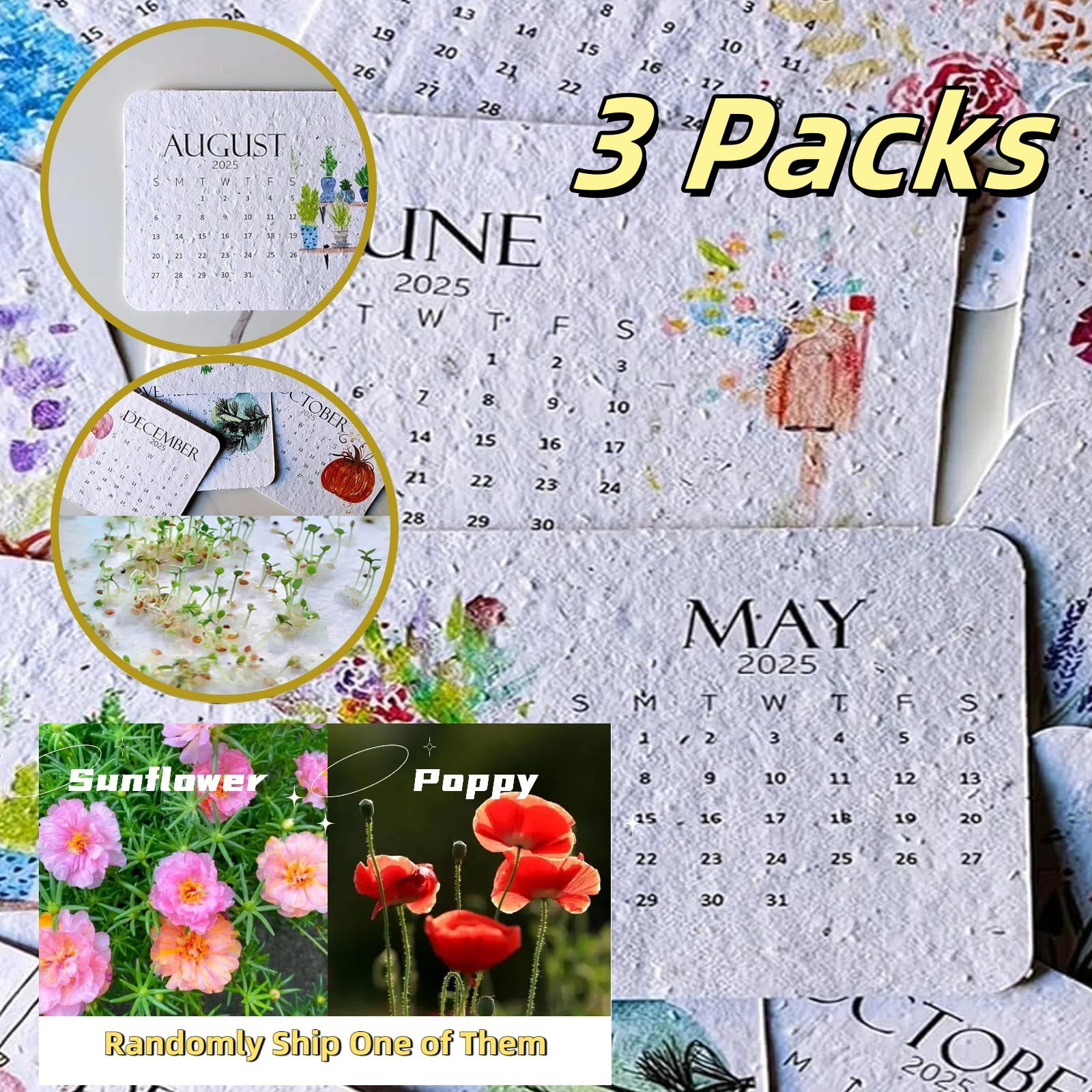 3 Packs 2025 Plantable Calendar: A Unique Greenery Planner with 12 ...