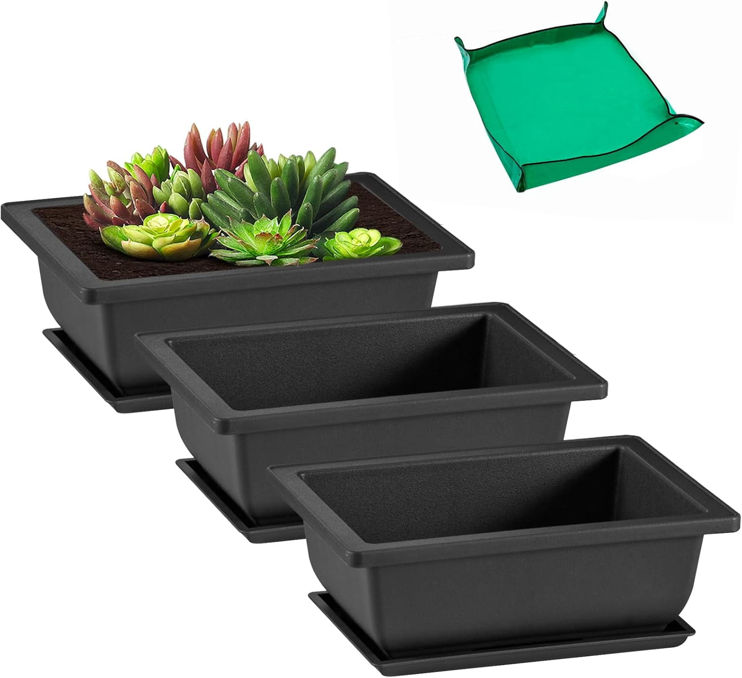 3 Packs 6.5 Inch Bonsai Training Pots with Drainage Humidity Trays ...