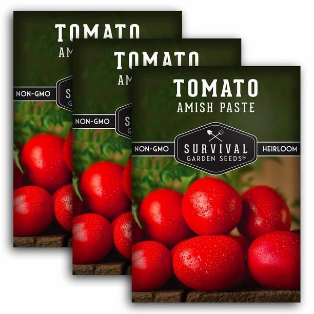 3 Packs Amish Paste Tomato Seed - Non-GMO Heirloom Full Sun Annual Vegetable - Survival Garden ...