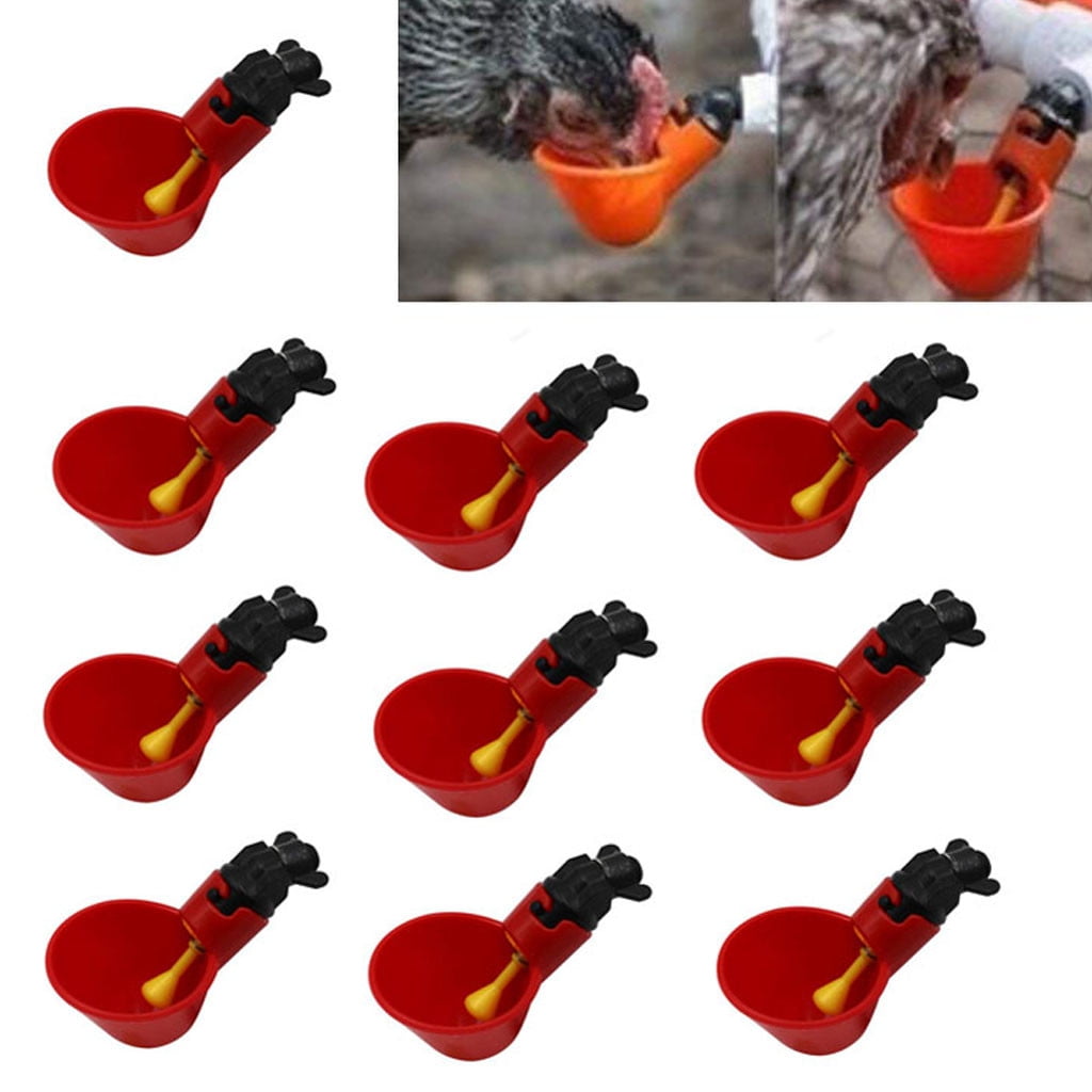 3 Packs Automatic Chicken Water Drinker Cup 12Pcs Poultry Feeder Yellow ...