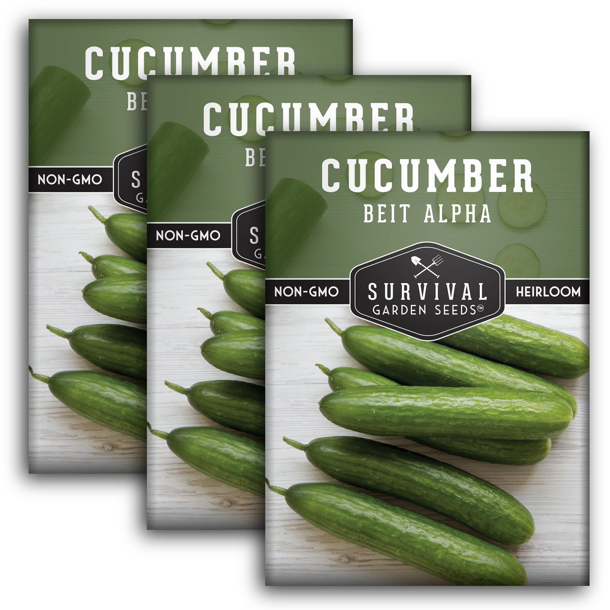 3 packs Beit Alpha Cucumber Seed - Non-GMO Heirloom Full Sun Annual ...