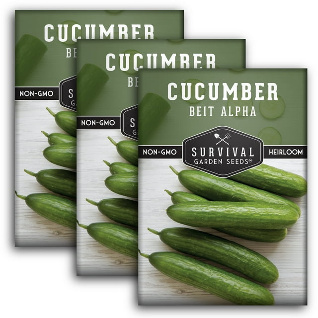 3 packs Beit Alpha Cucumber Seed - Non-GMO Heirloom Full Sun Annual ...