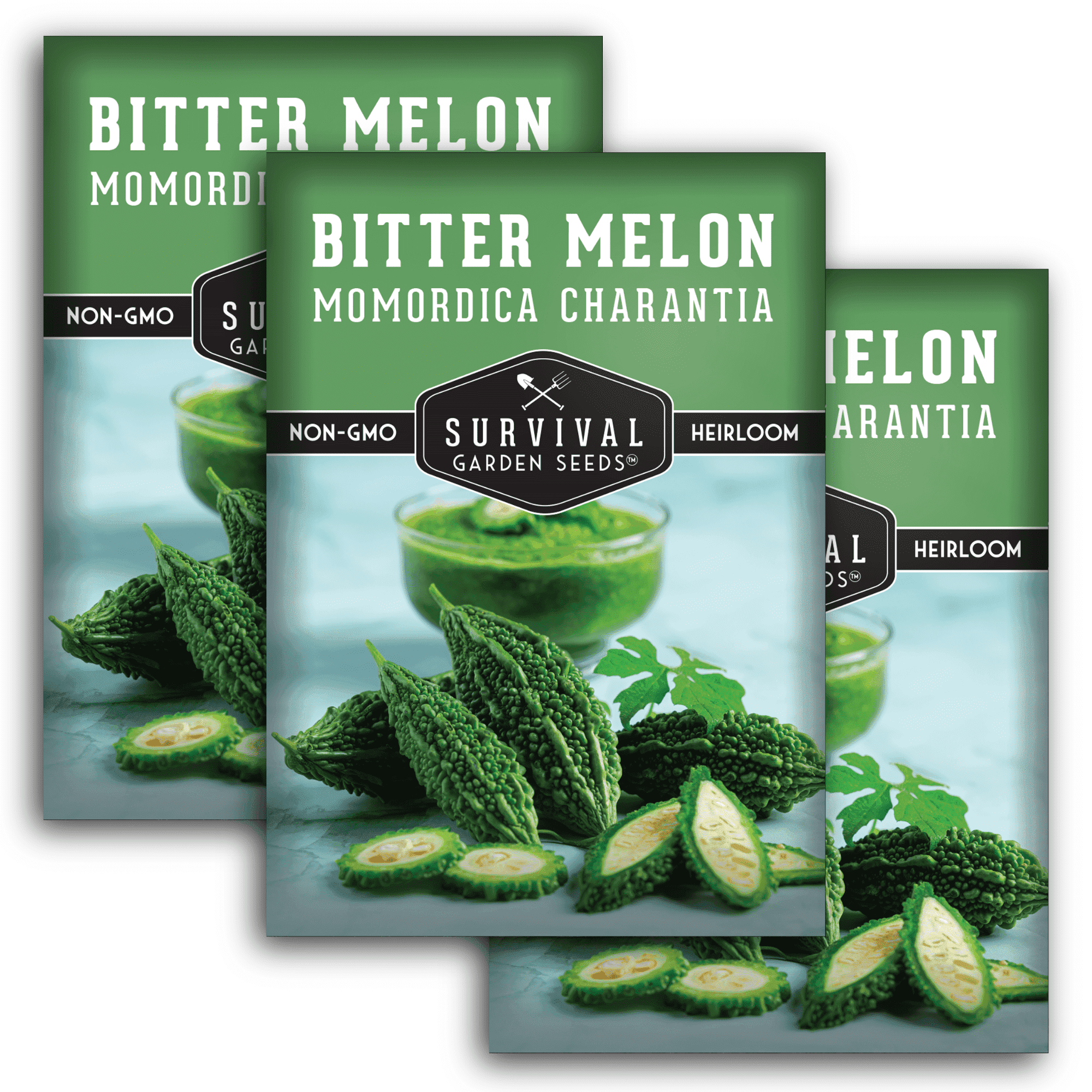 3 Packs Bitter Melon Seeds - Bitter Gourd - Non-GMO Heirloom Annual ...