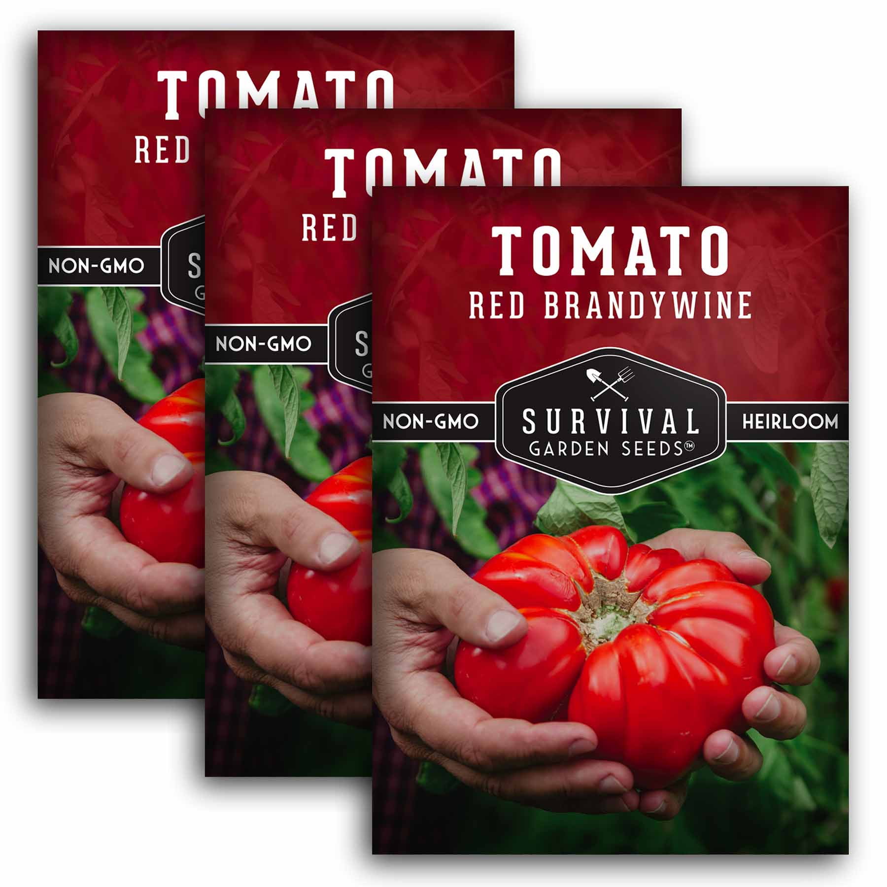 3 packs Brandywine Red Tomato Seeds - Non-GMO Heirloom Full Sun Annual ...