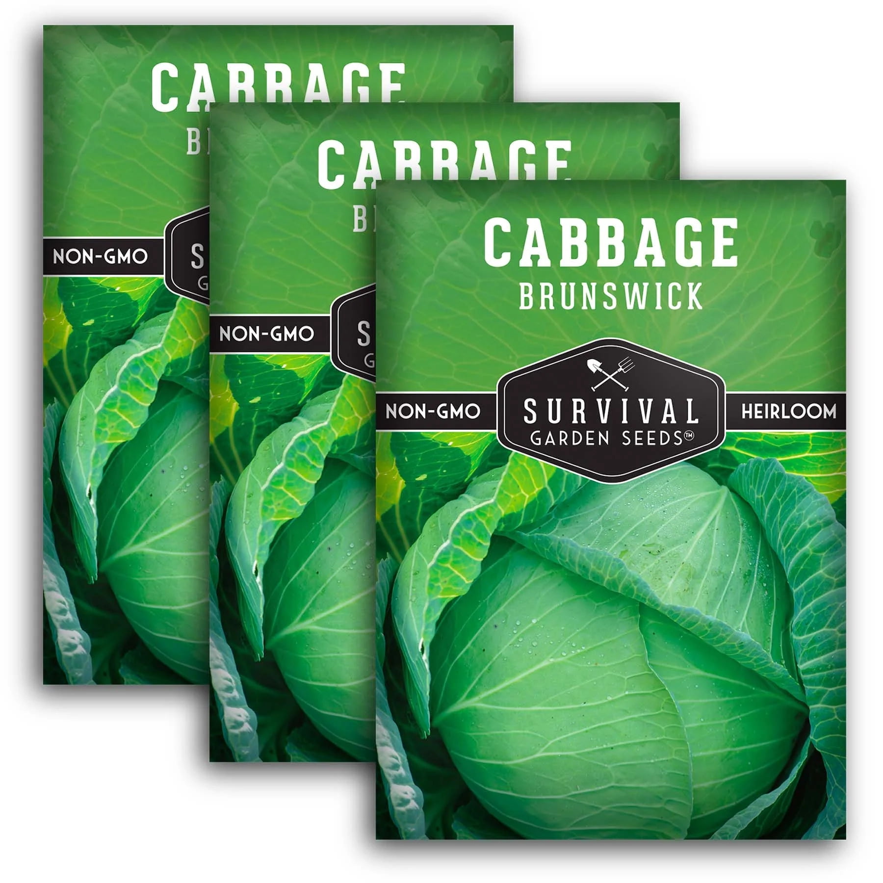 3 Packs Brunswick Cabbage Seed - Non-GMO Heirloom Full Sun Biennial ...
