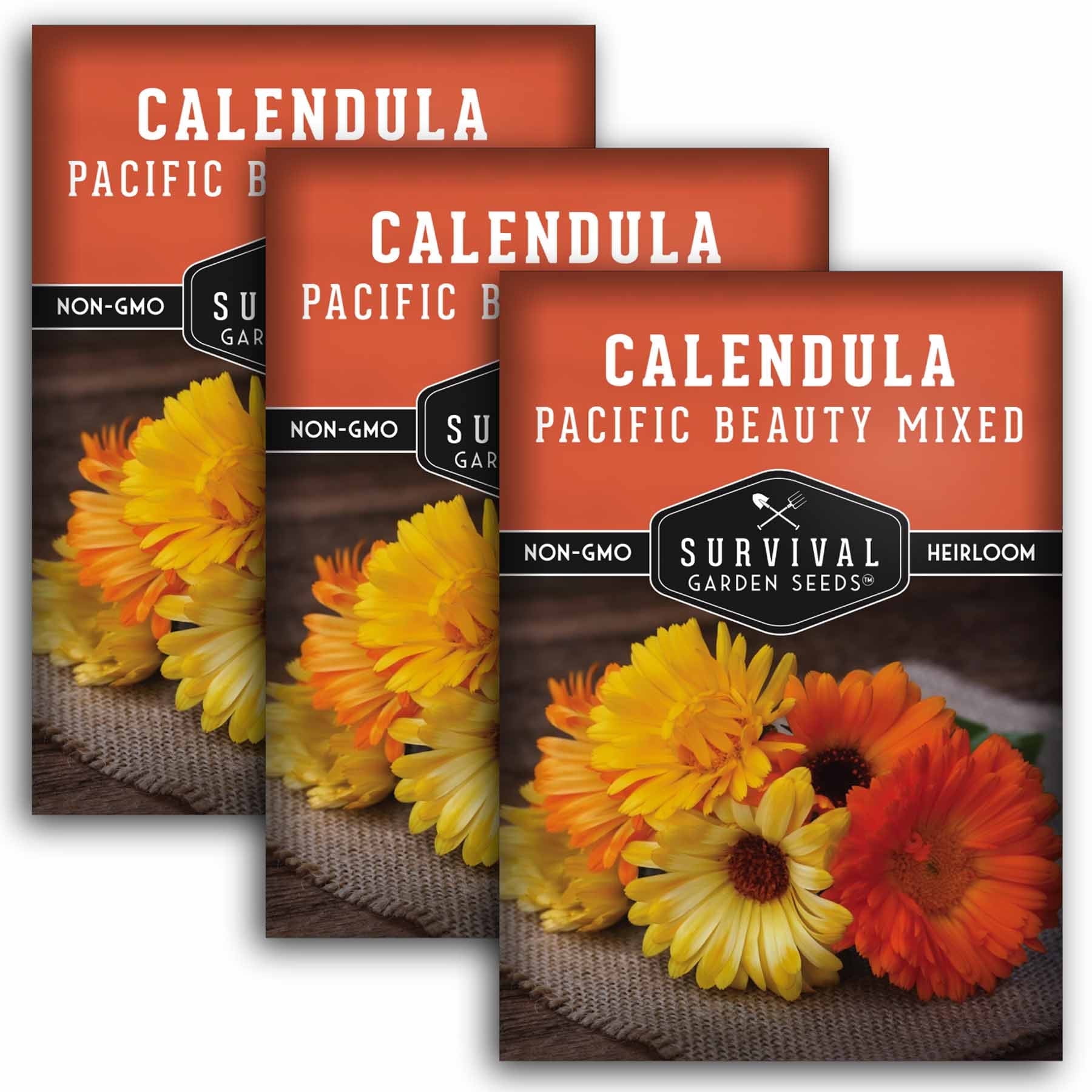 3 packs Calendula Pacific Beauty (Mixed) Flower Seed - Heirloom Annual ...