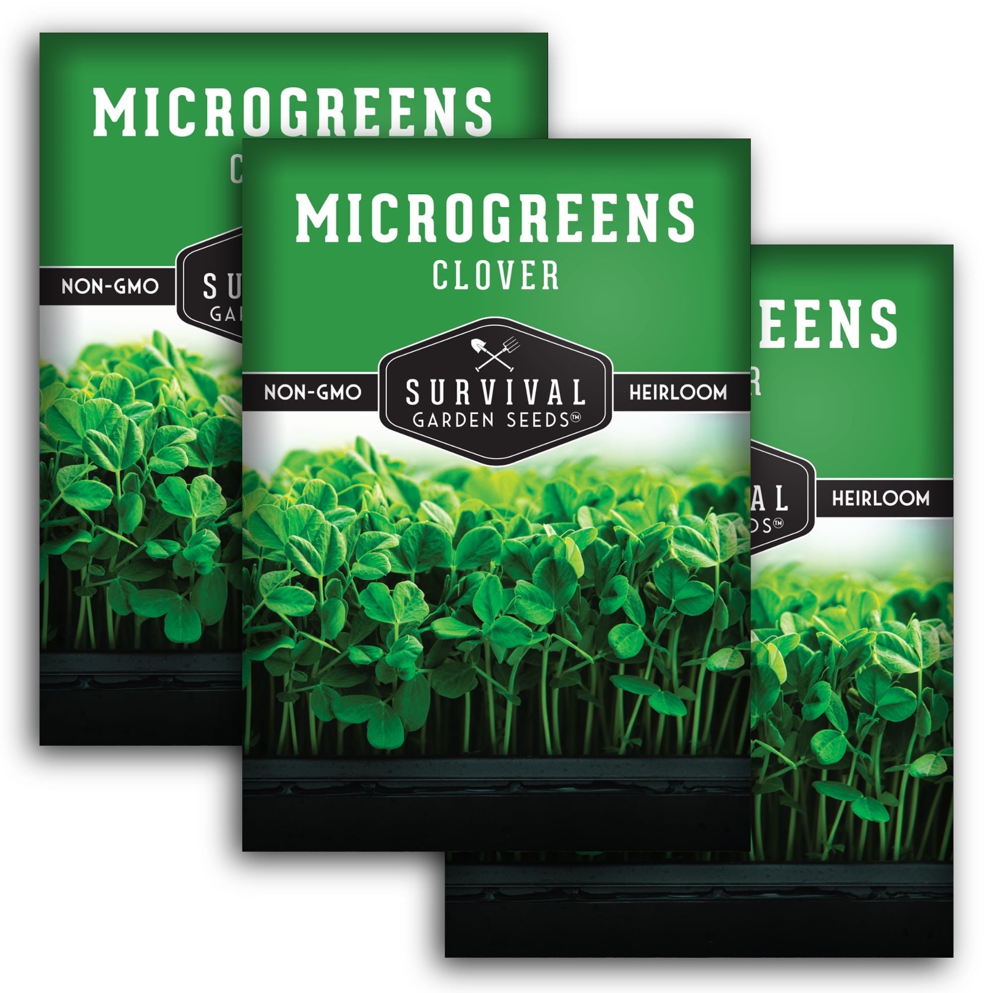 3 packs Clover Microgreens Seeds - Non-GMO Heirloom Annual Full Sun ...
