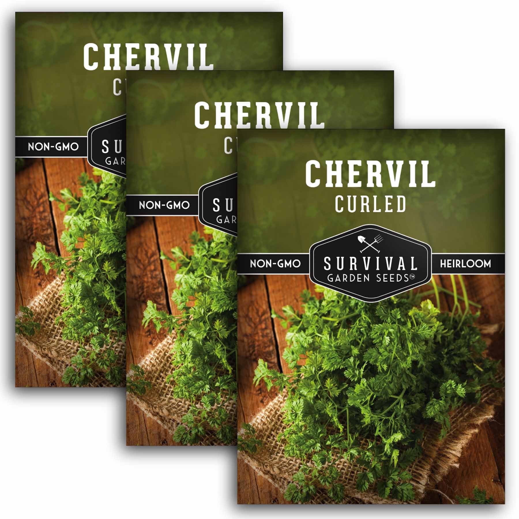 3 Packs Curled Chervil Seeds - Non-GMO Heirloom Partial Shade Annual ...
