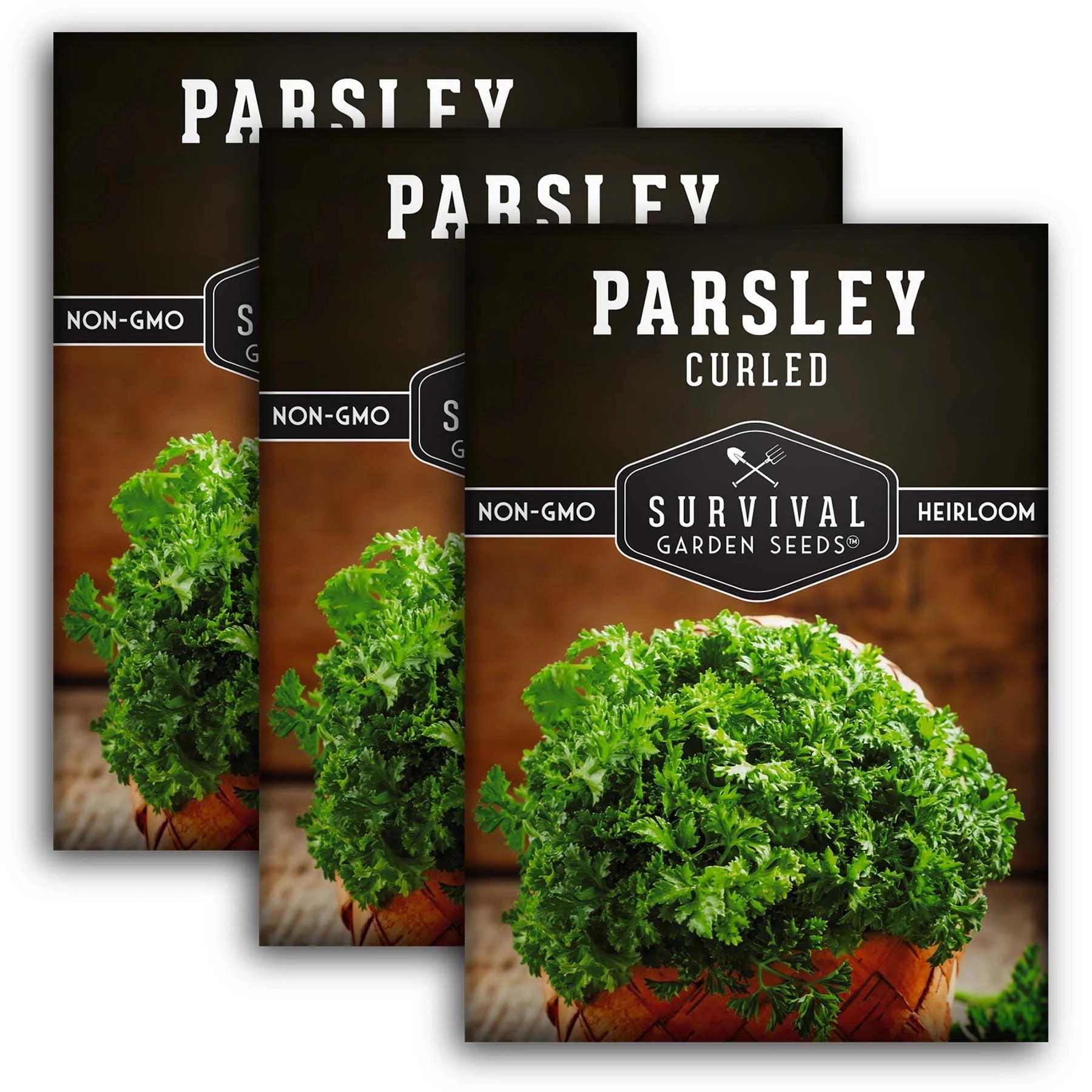 3 Packs Curled Parsley Seeds - Non-GMO Heirloom Full Sun Biennial Herb ...
