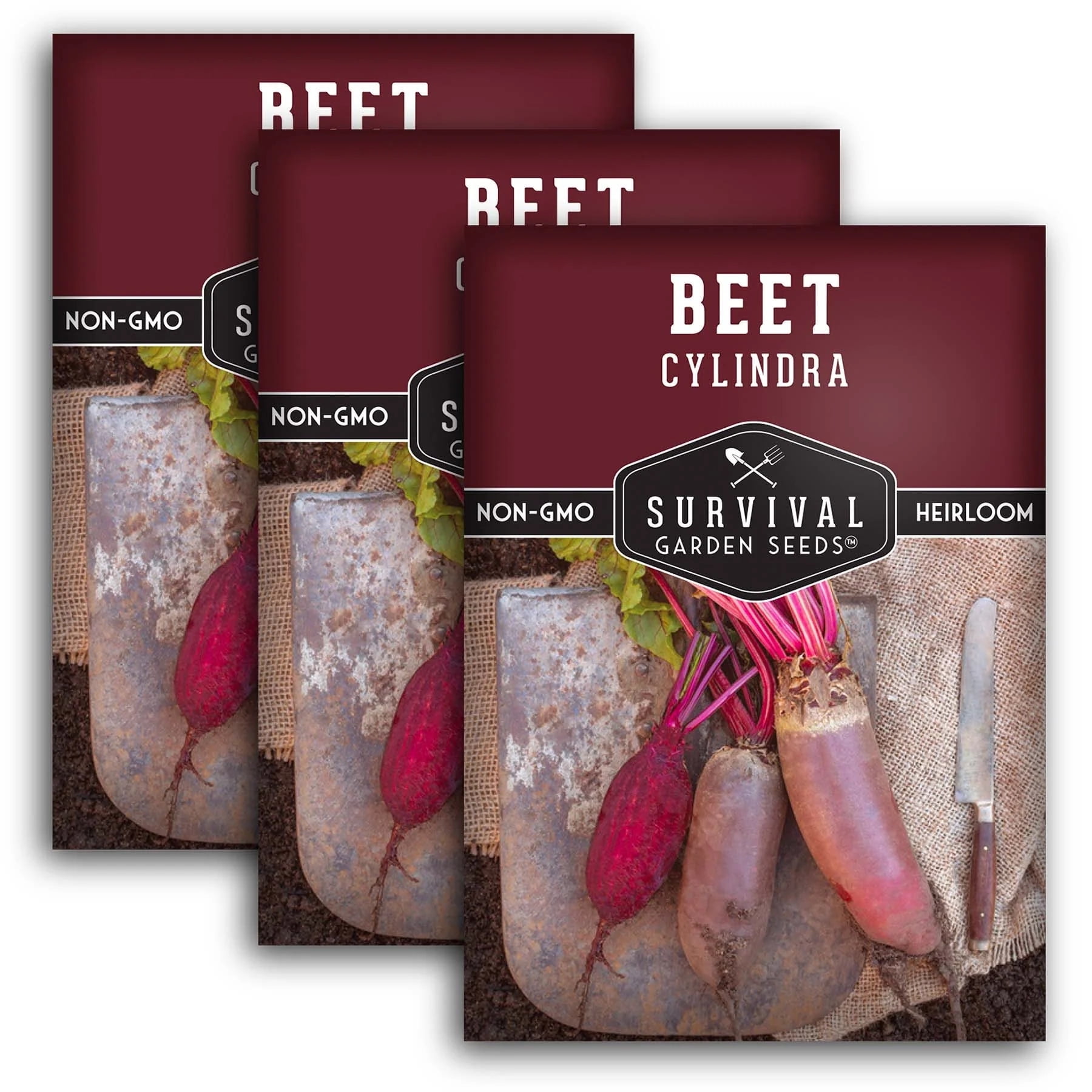 3 packs Cylindra Red Beet Seed - Non-GMO Heirloom Full Sun Biennial ...