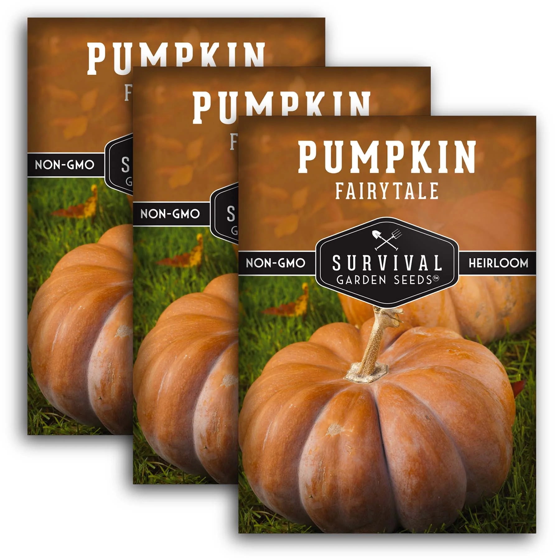 3 Packs Fairytale Pumpkin Seed - Non-GMO Heirloom Full Sun Annual ...