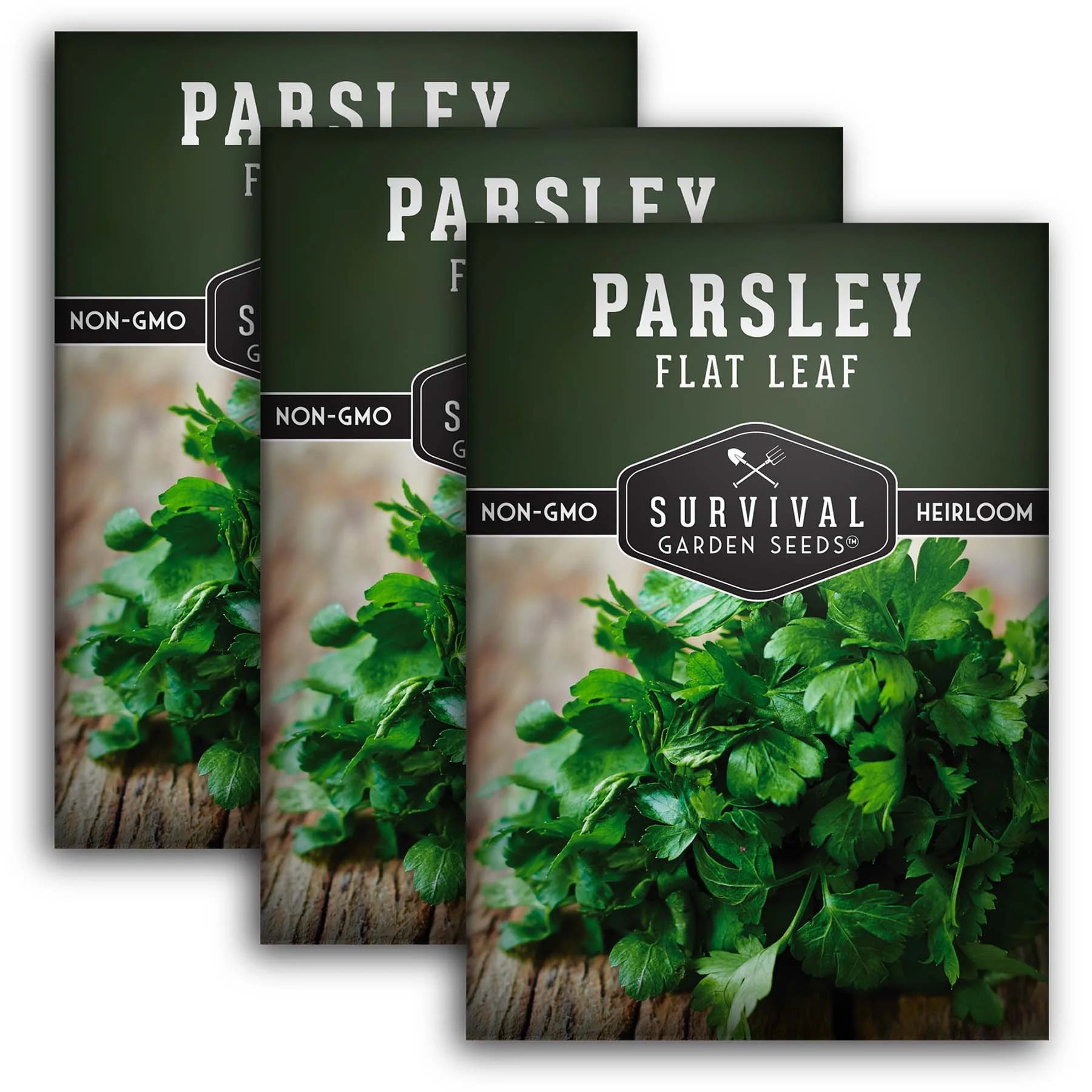 3 Packs Flat Leaf Italian Parsley Seed - Non-GMO Heirloom Full Sun ...