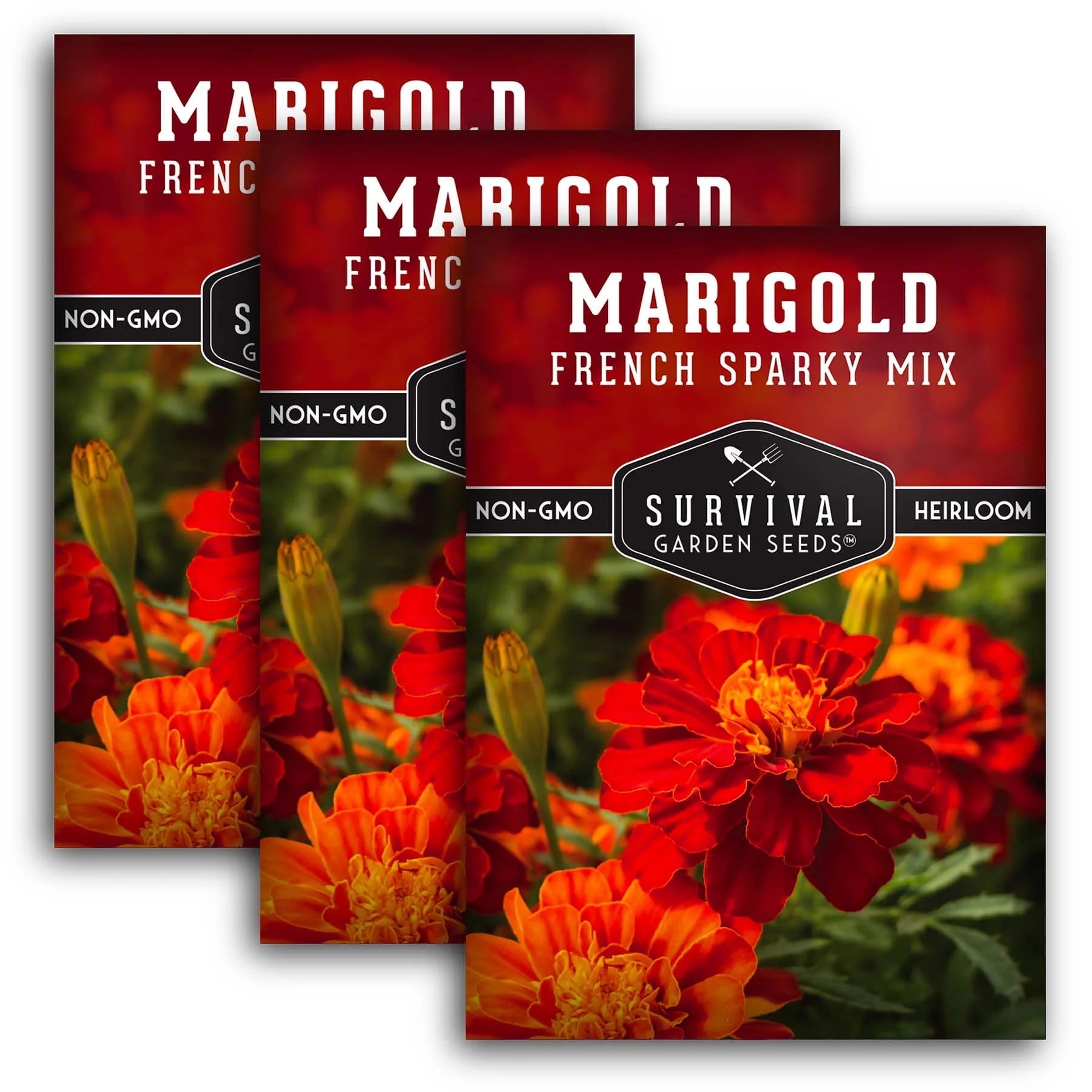 3 Packs French Sparky Mix Marigold Seed - Heirloom Full Sun Annual ...