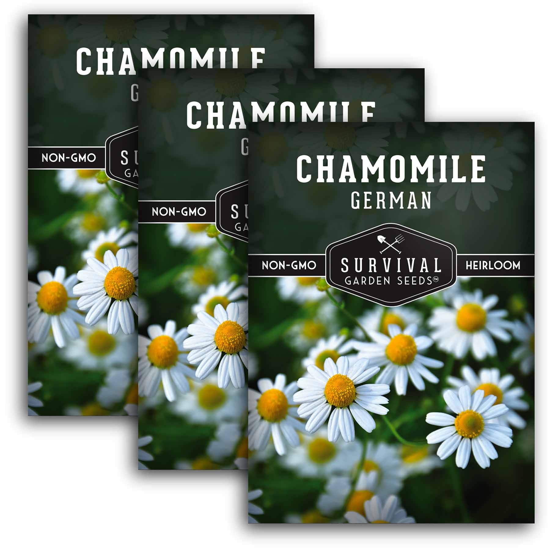 3 Packs German Chamomile Seeds - Matricaria Chamomilla - Heirloom ...