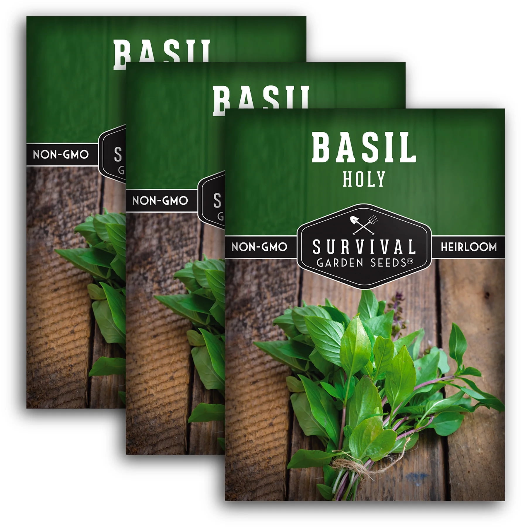 3 Packs Holy Basil Seeds - Non-GMO Heirloom Full Sun Annual Herb ...